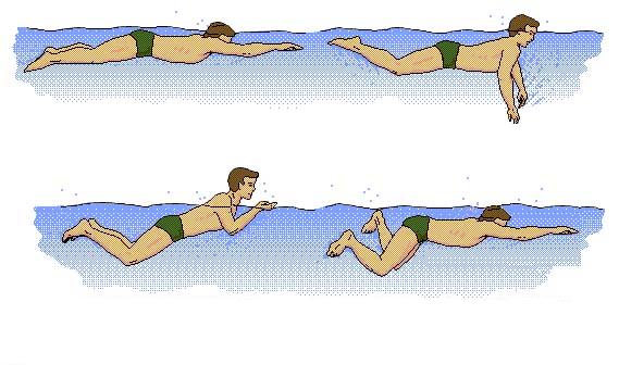 estilos de natación: ESTILOS DE NATACIÓN